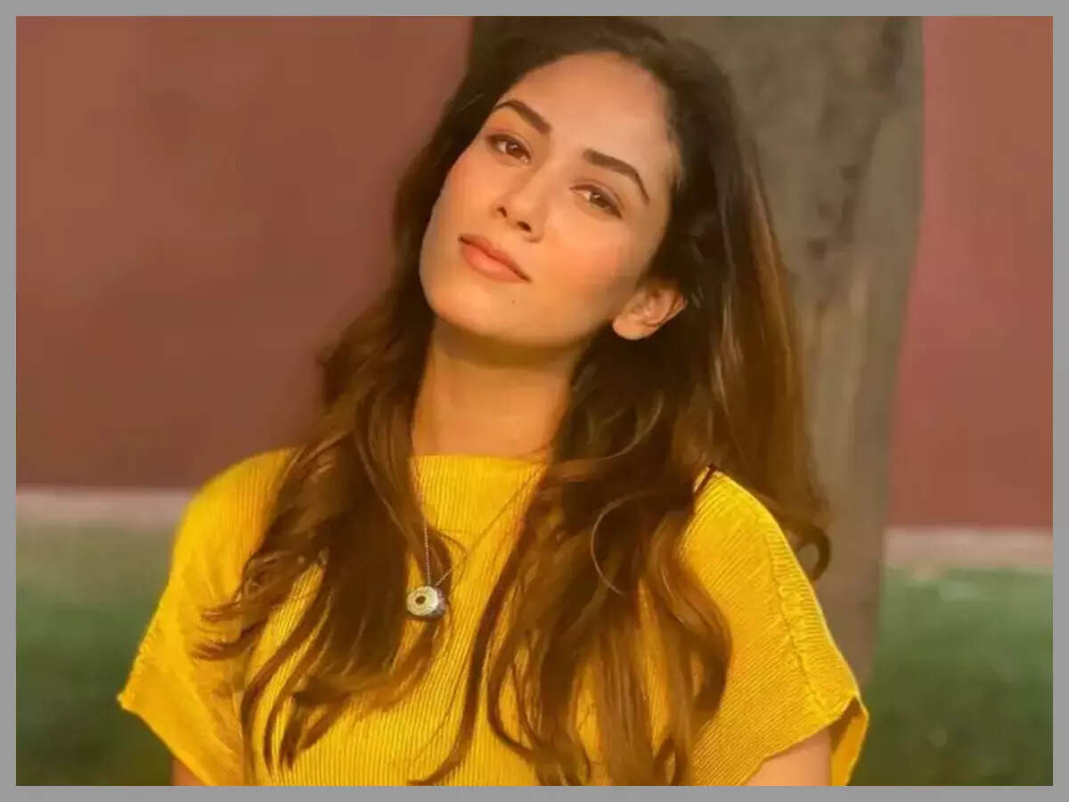 Fans shower praise on Mira Rajput as she plays Ranbir…