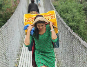 After Pakistani chaiwala, comes Nepalese #tarkariwali — and the social ...