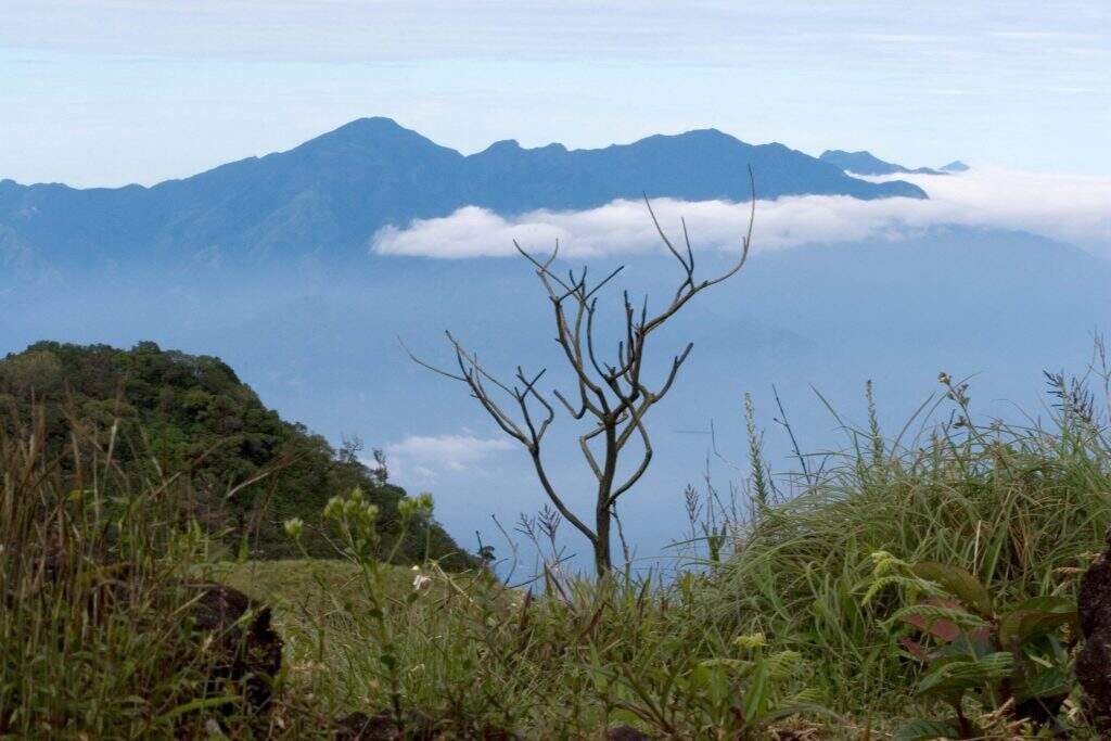 World Environment Day: Symbolism of India’s Silent Valley