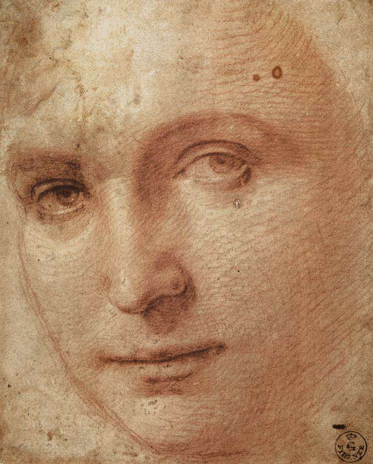 Raphael at the IIC Delhi