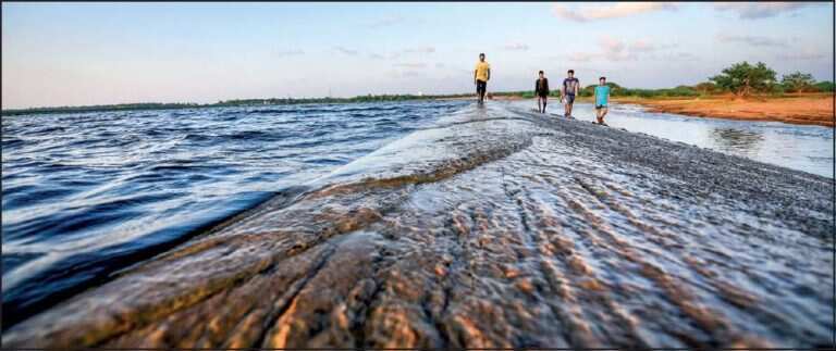 Along Palar river check dams hold key to agri revival