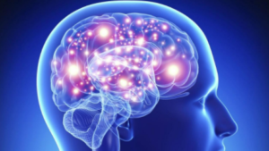 Neurotheology : Is Your Brain Really Spiritual?