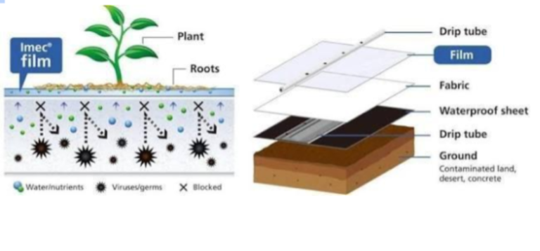 Film farming: Cultivating crops beyond soil and water