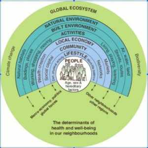 World health day, environmental health