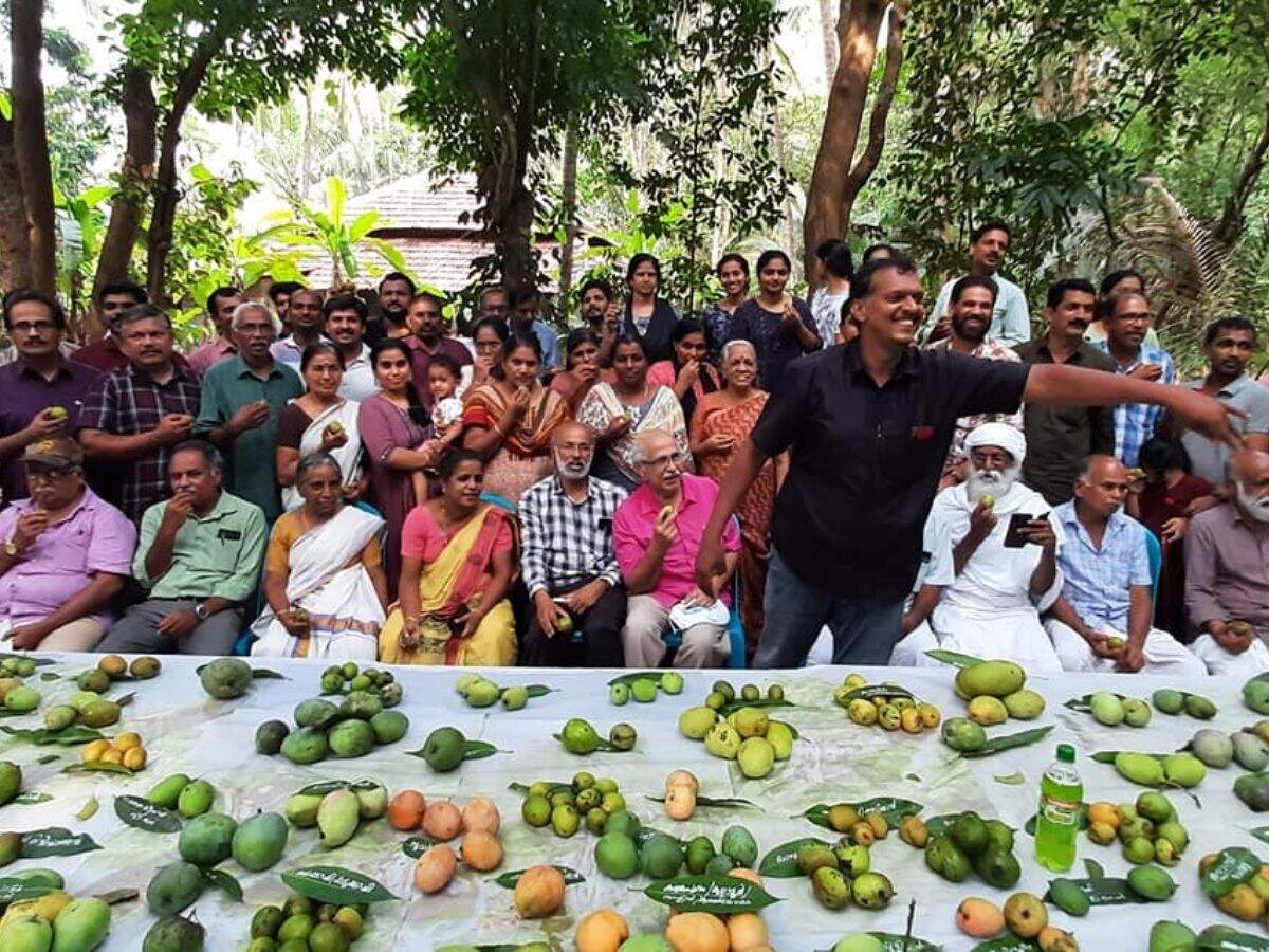 A mango for every season