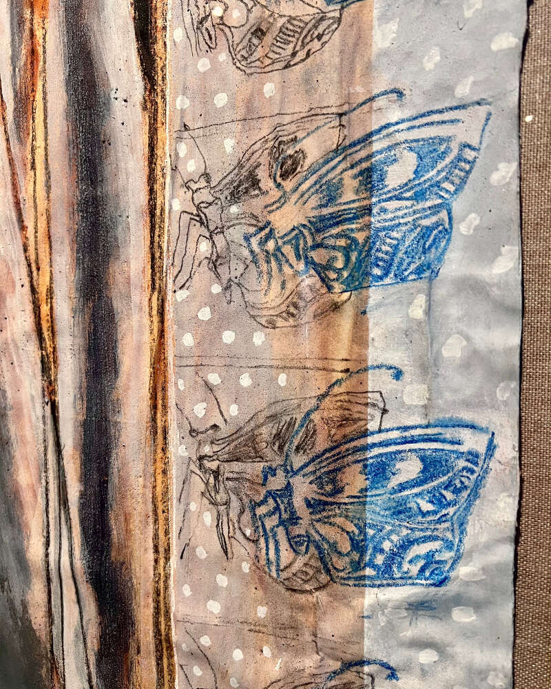 DAW 2022: Akar Prakar’s captivating Douglas show