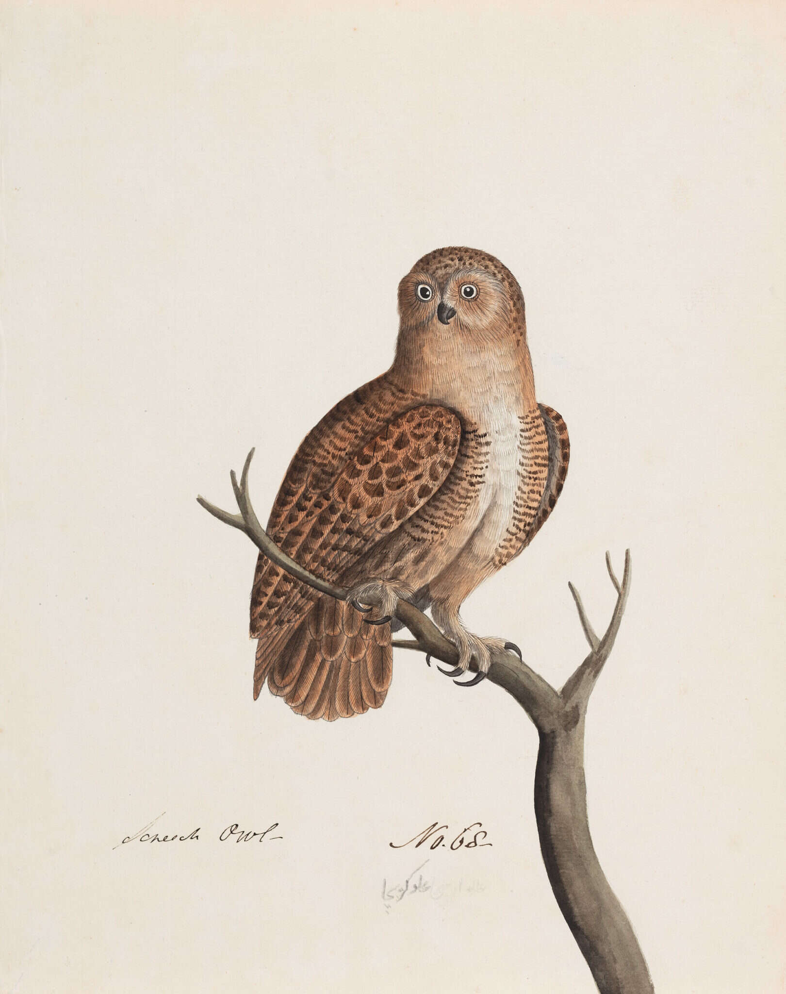 Art and the environment merge in birds