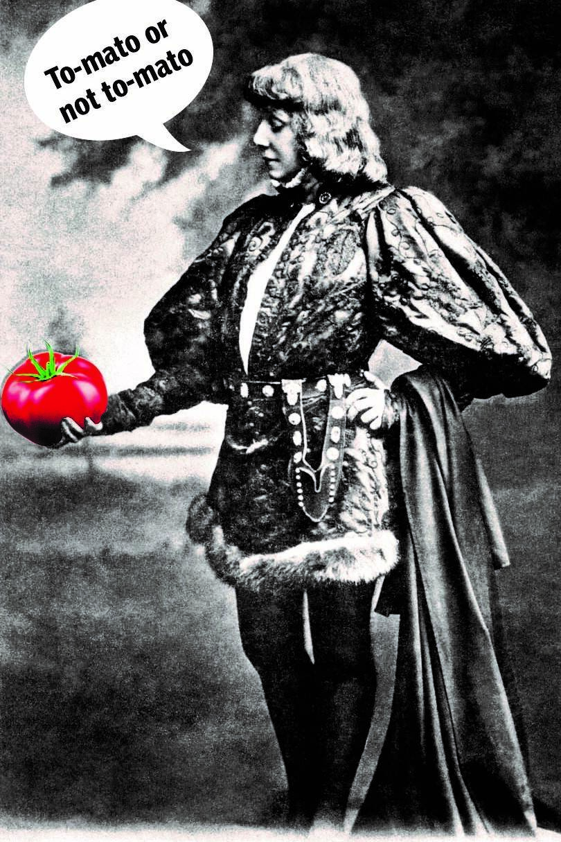 Tomato turns red – and writes a letter