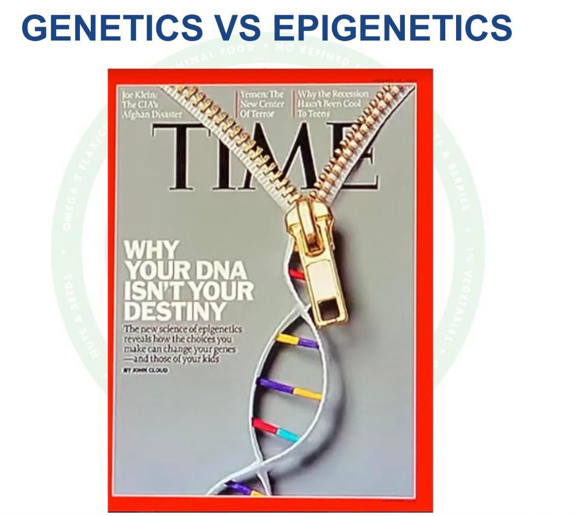 Myths about diet and health (3)