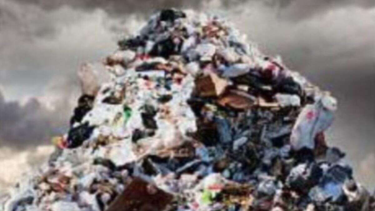 Want not is the only way to waste not