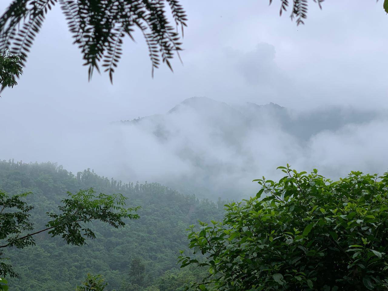 The Doon Valley and Monsoons: An eternal love story