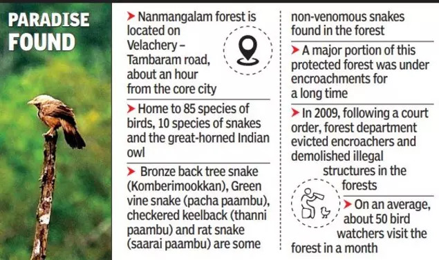 Hunting for an ideal getaway spot close to Chennai? Try Nanmangalam ...