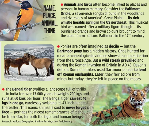 Remember the time ... | India News - Times of India