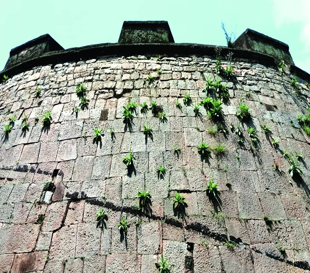 fort: SOS: Hold the fort