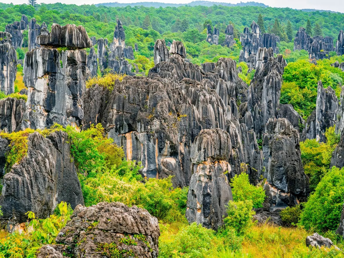 The Stone Forest Facts