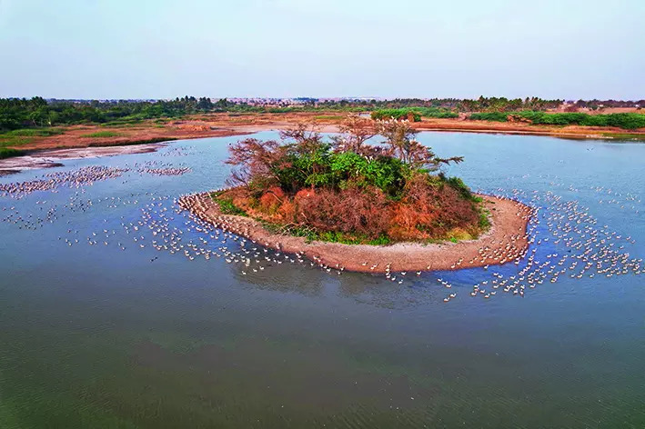 Three new Karnataka wetlands added to the Ramsar sites