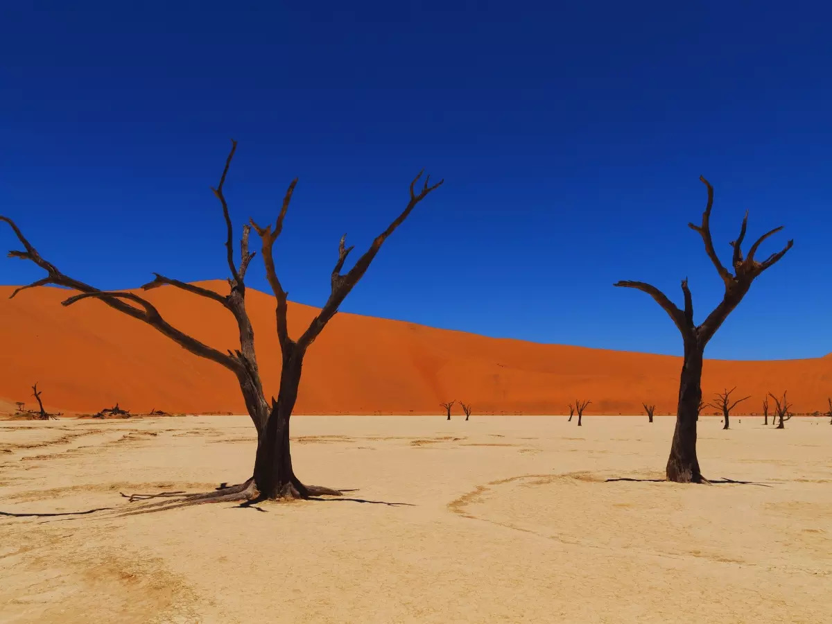 Most Incredible Things In The World