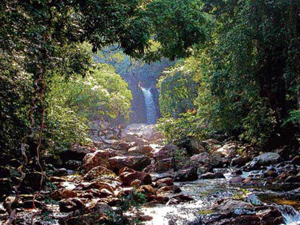 Breathtaking bio reserves in the country that should be on your bucket ...