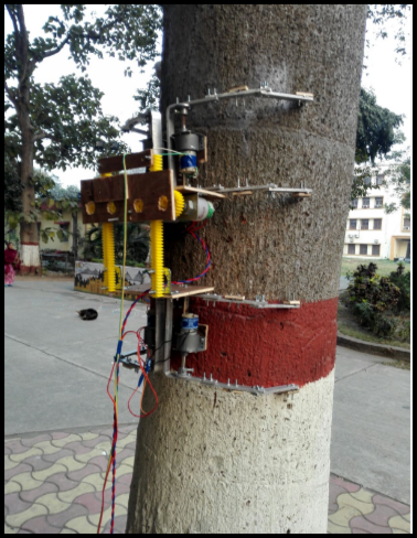 tree climbing robot: Students made tree-climbing robot | Kolkata News ...