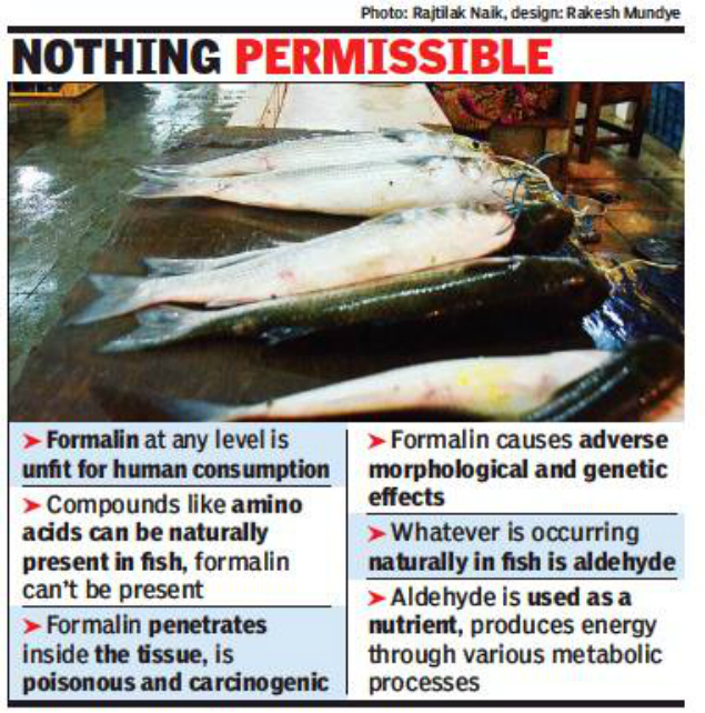 Fish: Experts bust government claim, say formalin not inherent in fish ...