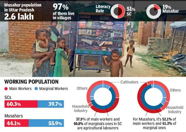 Uttar Pradesh: In UP, rat-eating Musahars battle starvation, death ...