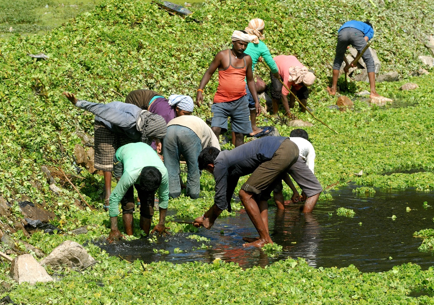 Ulsoor lake: Three coracles, neem oil and determination