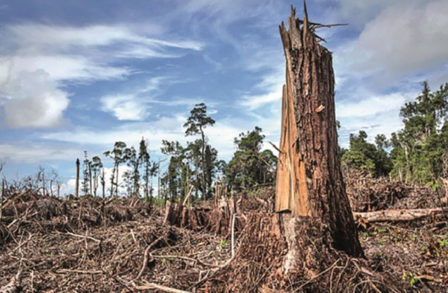 ‘Many of us now realise we face the collapse of our life support ...