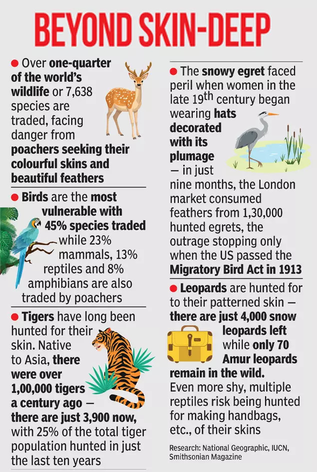 ‘Colour helps Darwinian fitness in nature — humans are impacting this ...