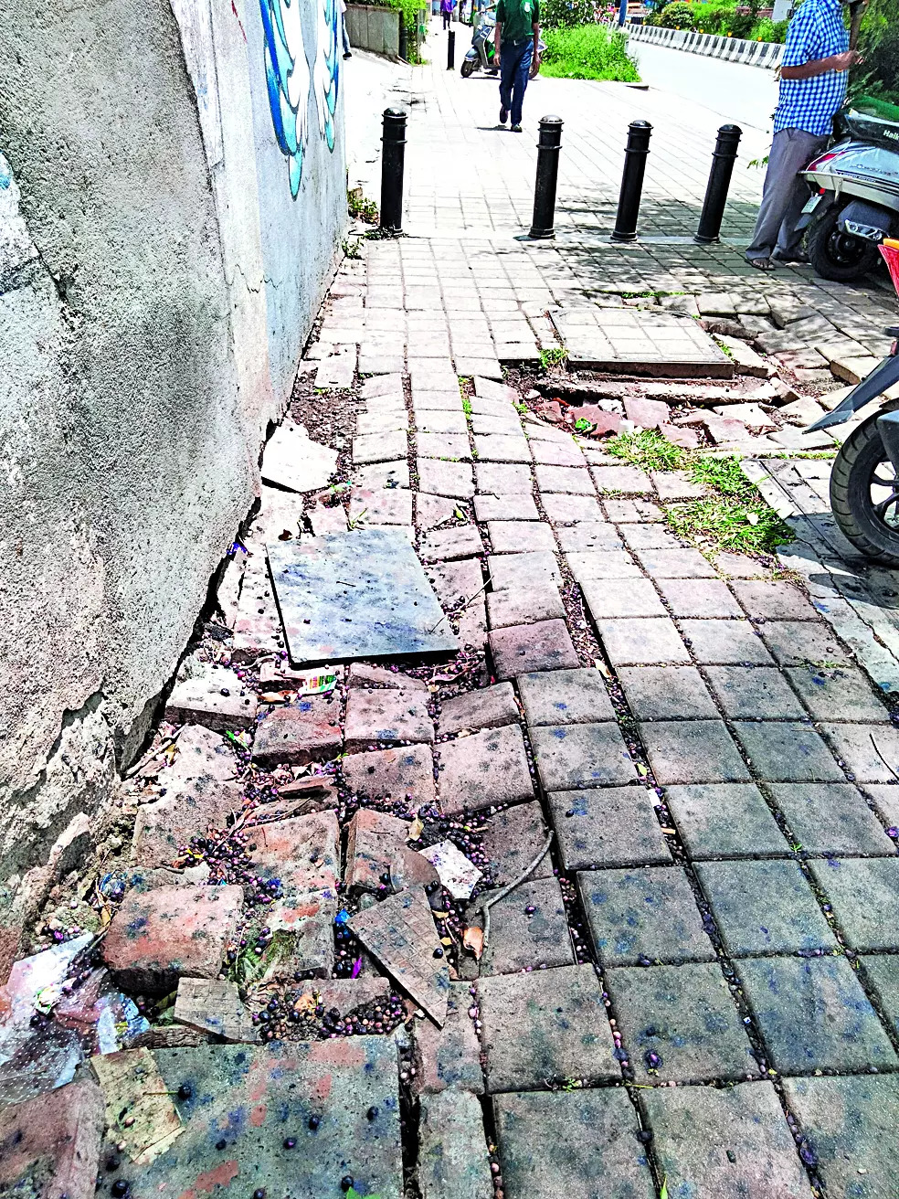 Watch where you place your foot on these broken footpaths