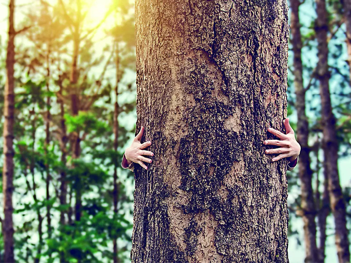 chipko: ‘India’s Chipko movement changed the world’s vision’ | India ...