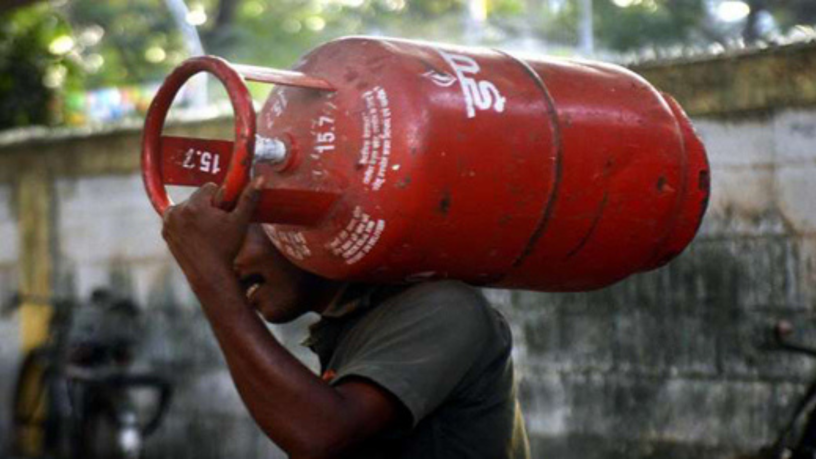 How to Check Your LPG Subsidy Status Online for IOCL, HP, and BPCL