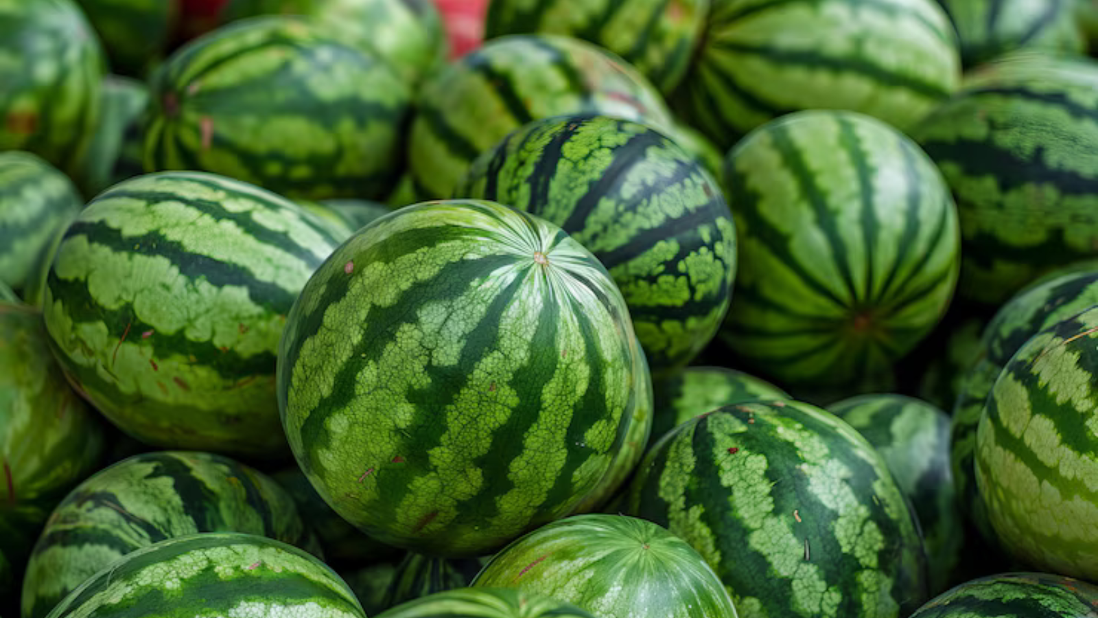Top 10 Largest Watermelon-Producing Countries Worldwide