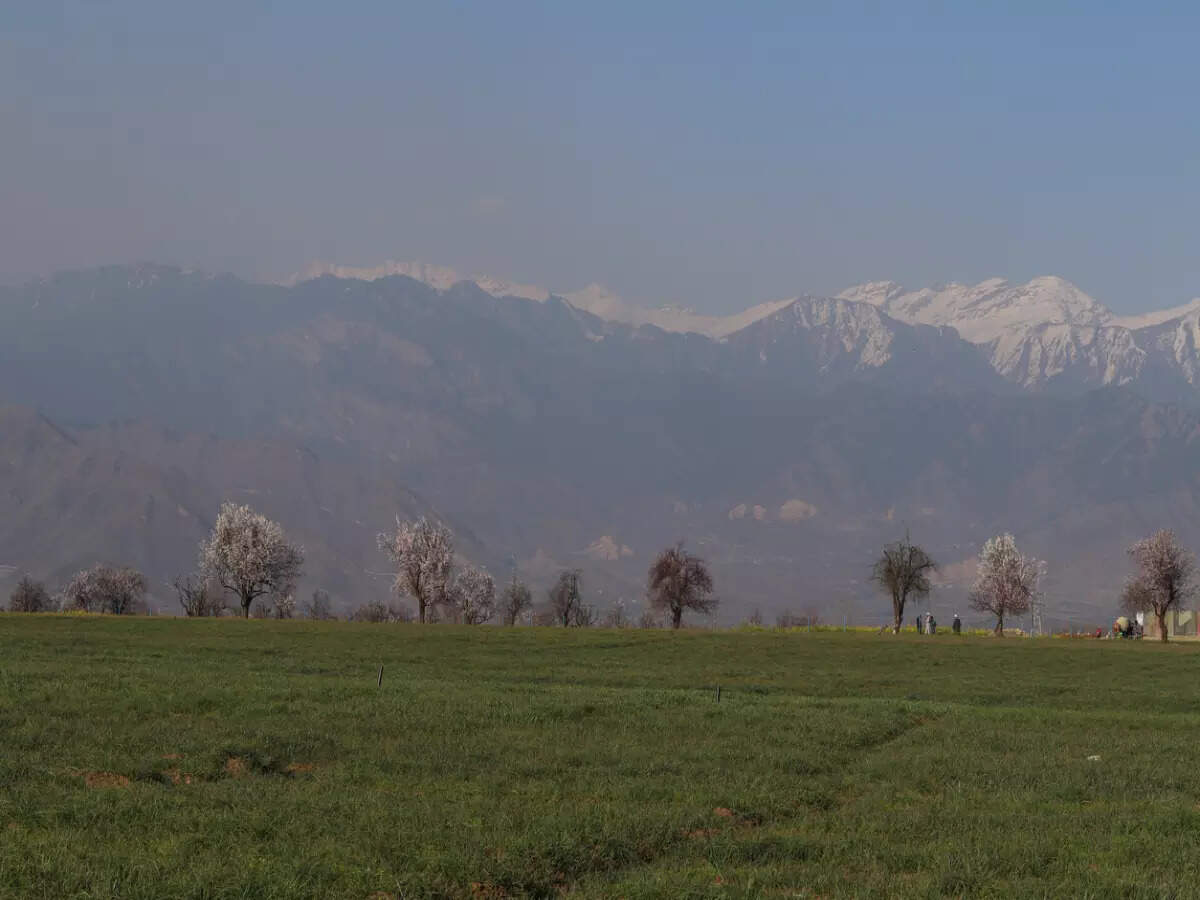 Get to know Pampore, the saffron town of Kashmir, Jammu And Kashmir ...
