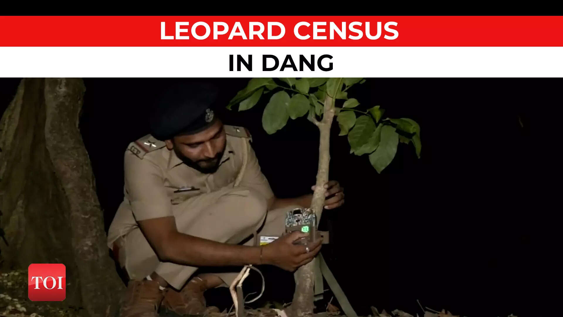 Leopard census in Gujarat’s Dang using modern equipment Leopard census in Gujarat’s Dang using modern equipment