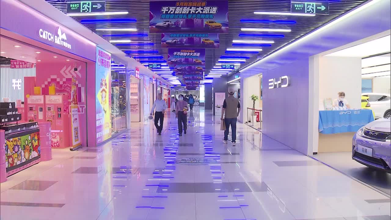 China's New Energy Vehicle Market amid Price War China's New Energy Vehicle Market amid Price War
