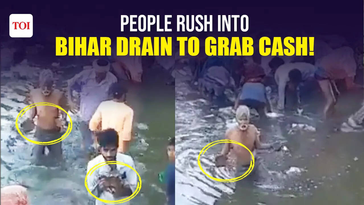 Bihar: Locals jump into knee-deep drain water to collect currency notes ...