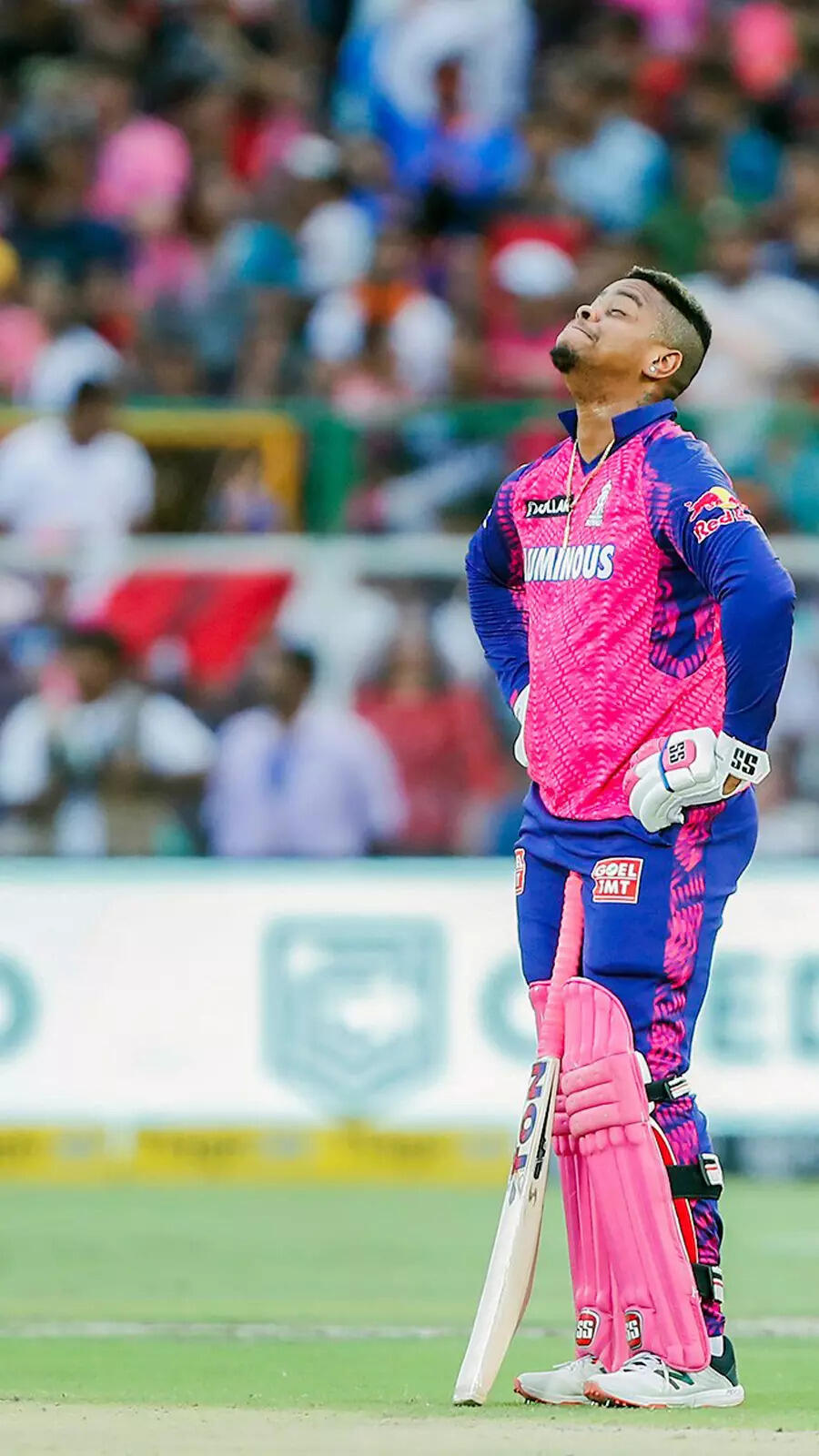 RR vs RCB: We understood what was needed, executed well, says Wayne ...