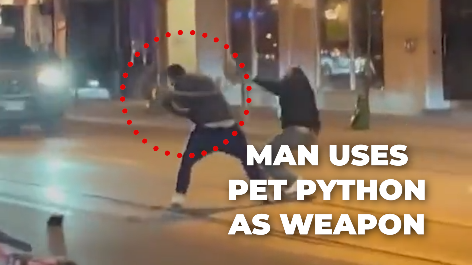 Viral video: Man uses pet python to attack another person, arrested by ...