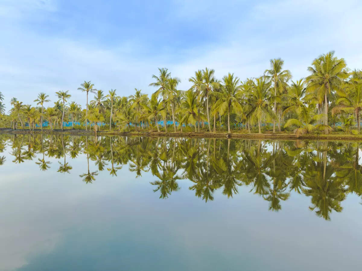 The incredibly idyllic world of Kerala’s Munroe Island, Kollam - Times ...