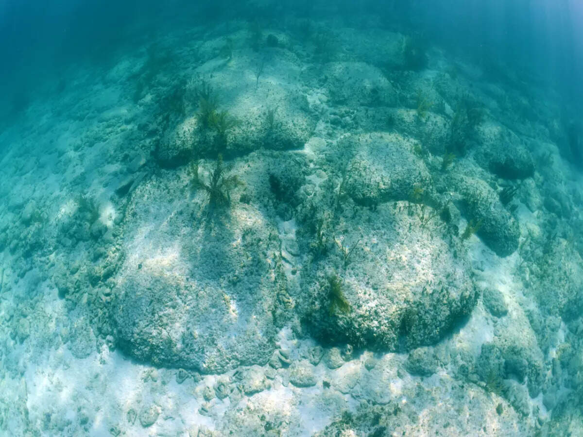 Did anyone create the mysterious Bimini Road?, Bahamas - Times of India ...
