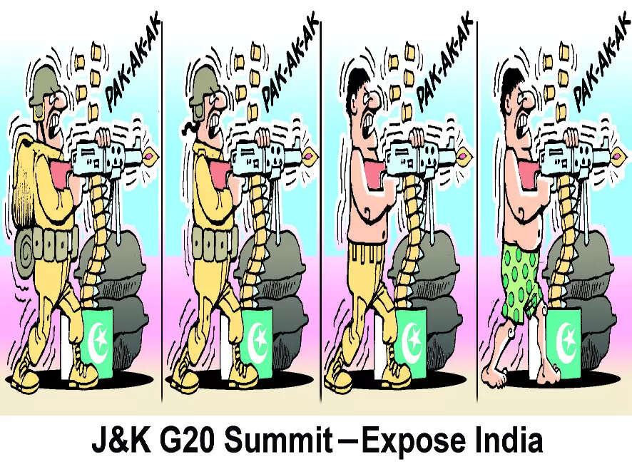 G20