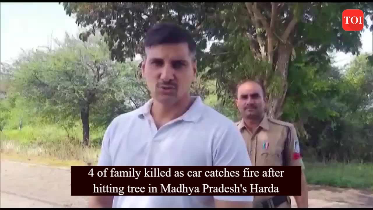 madhya pradesh: 4 of family killed as car catches fire after hitting ...