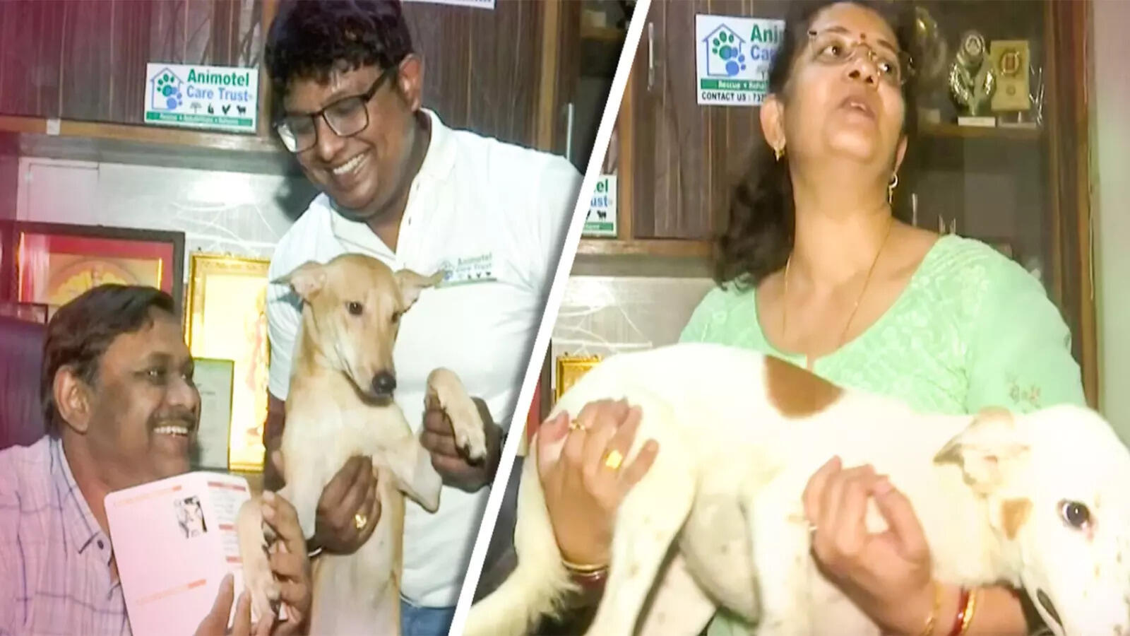 Two stray dogs in Varanasi catch attention of foreigners, set to go abroad