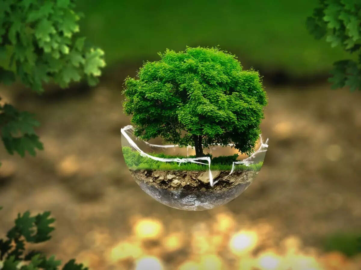 10 authors writing about the environment you should read