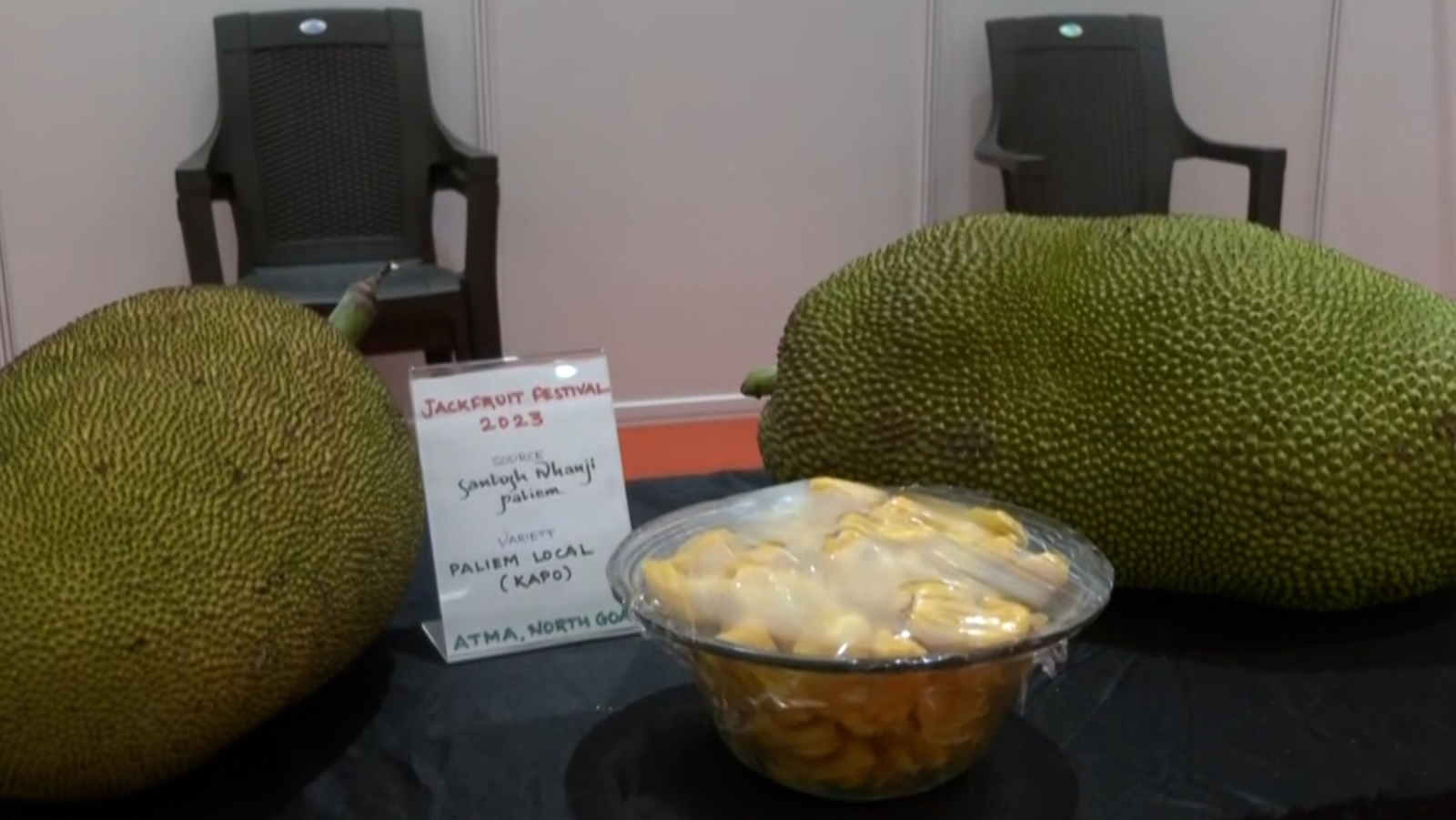Goa: Jackfruit festival inaugurated in Panaji by governors of three states
