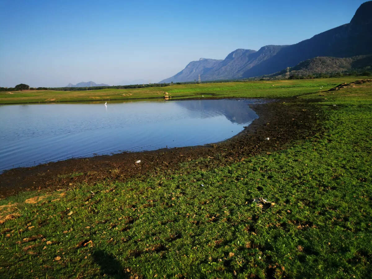 Nelliyampathy Hills: A nature lover's paradise in God's Own Country ...
