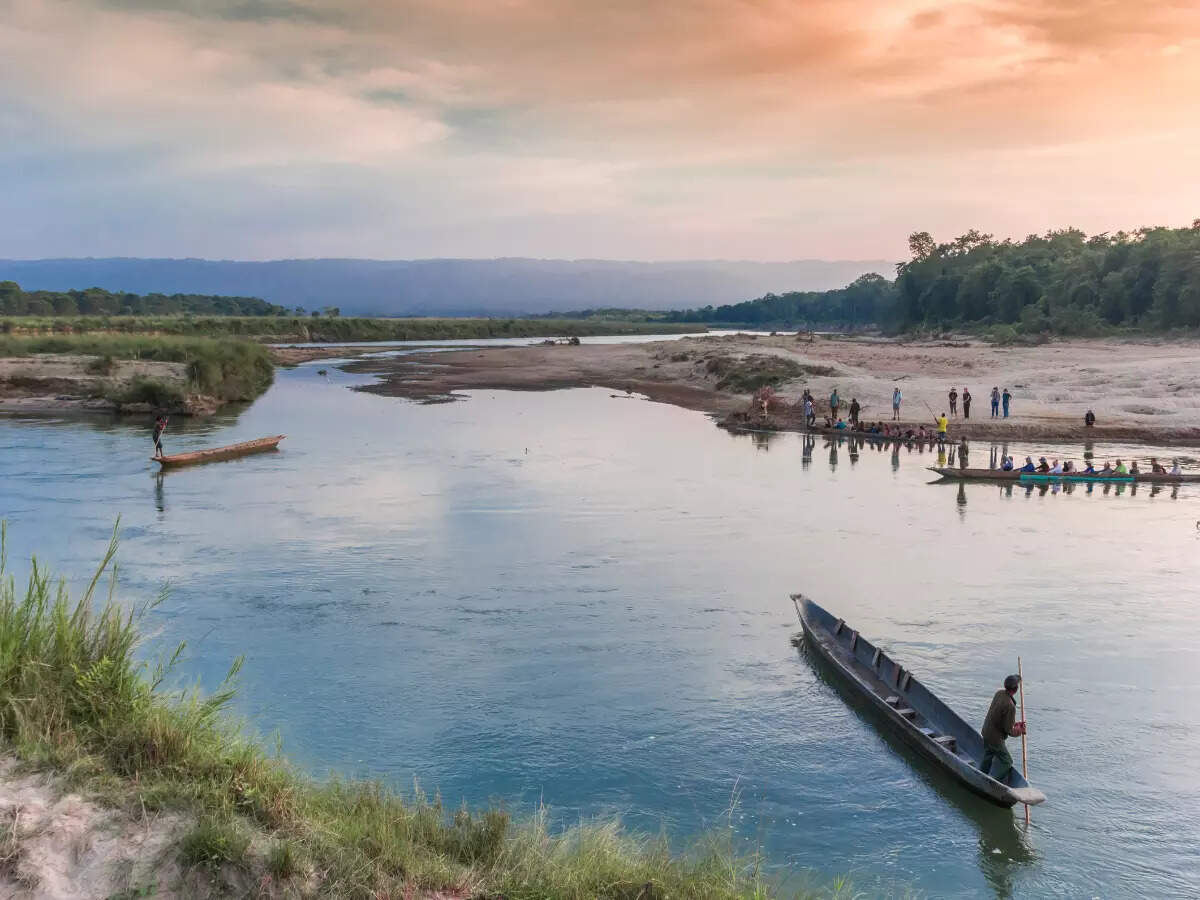 Chitwan National Park: Exploring Nepal's pristine biodiversity hotspot ...