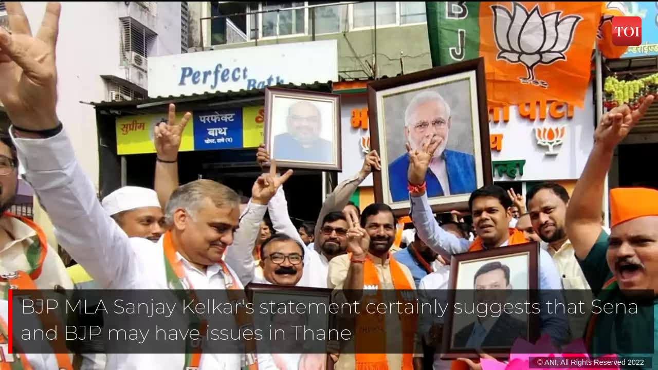 Will BJP MLA's comments impact BJP-Shiv Sena alliance in Thane and Palghar?