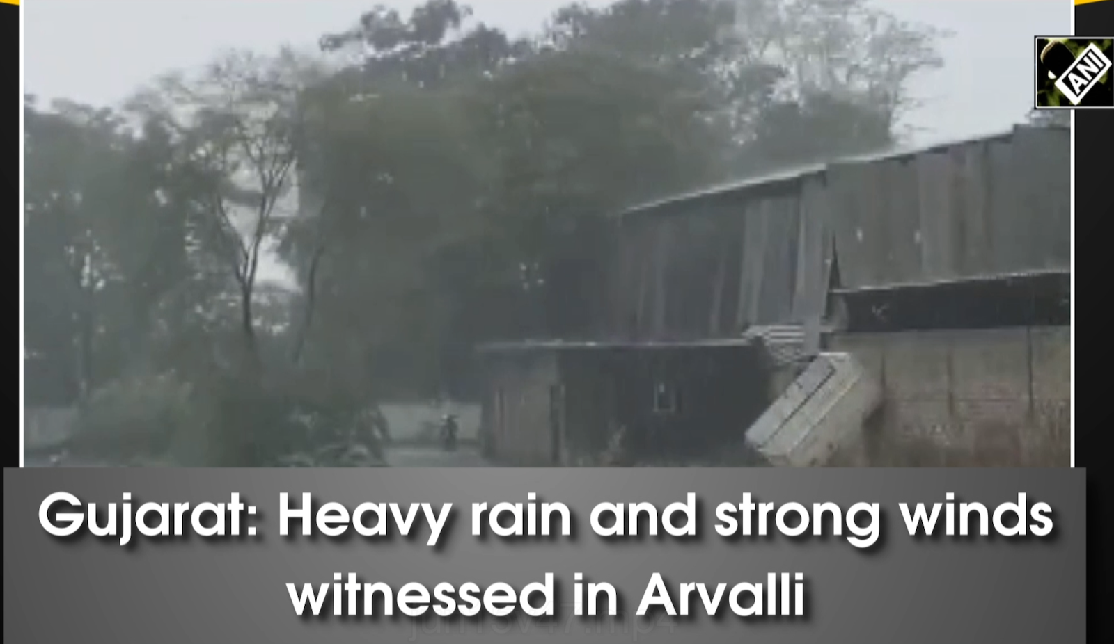 Heavy rain and strong winds witnessed in Arvalli