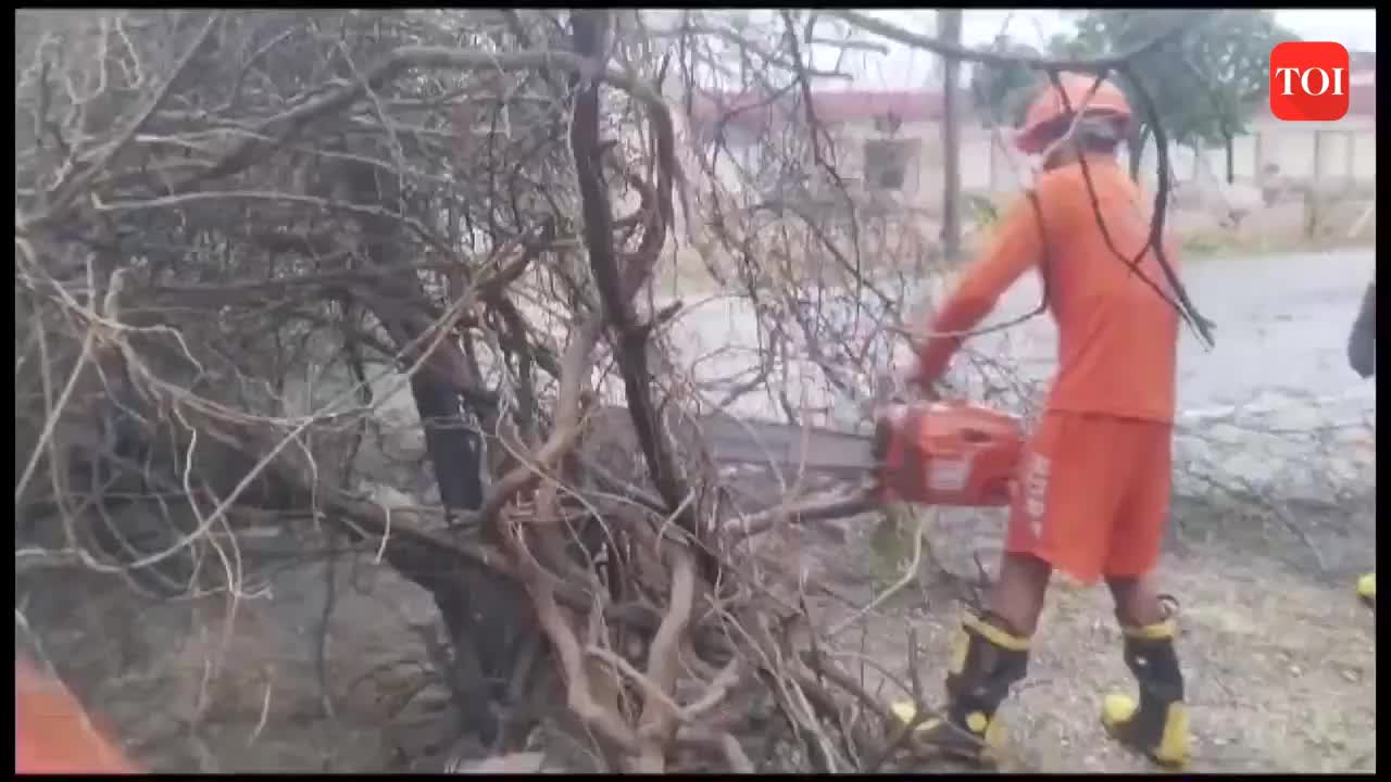 Kutch, Gujarat: NDRF personnel conduct clearance operation after Cyclone Biparjoy hits